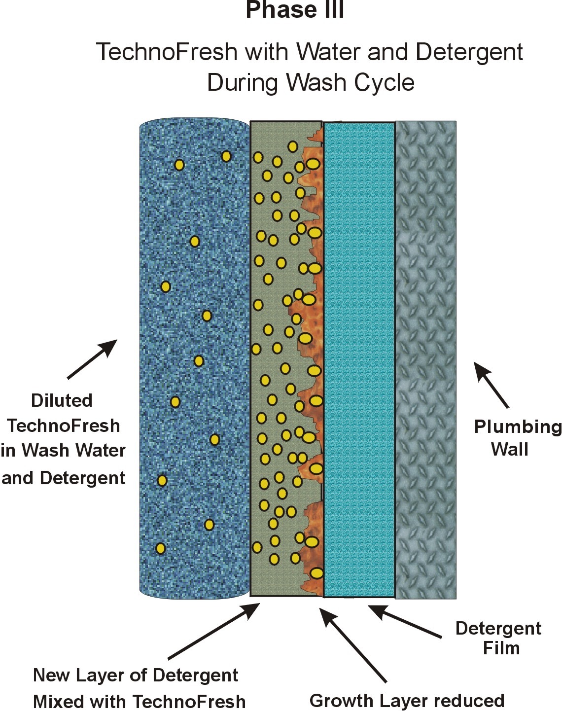 Phase 3 wash cycle | Washing Machine Cleaner and Odor Control